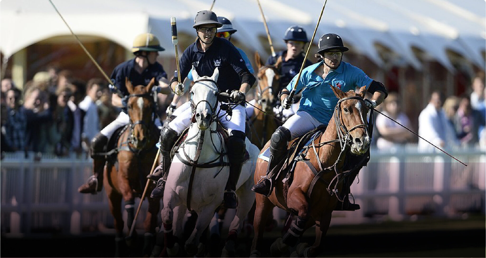 Events - Polo AlMarsa | Qatar's First Waterfront Polo Experience